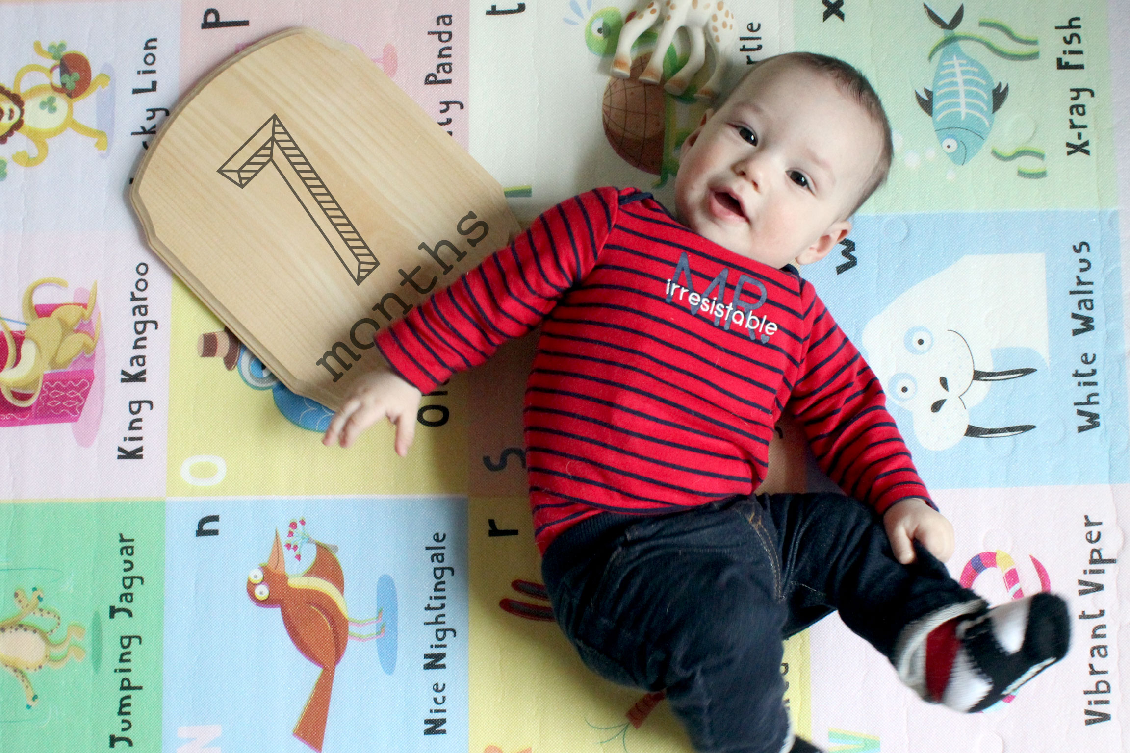 7 Month Old